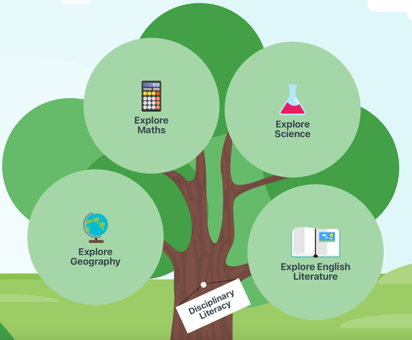How to do disciplinary literacy?