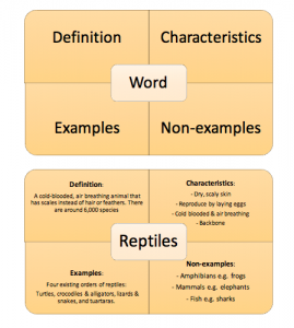 Vocabulary Knowledge and the 'Frayer Model'