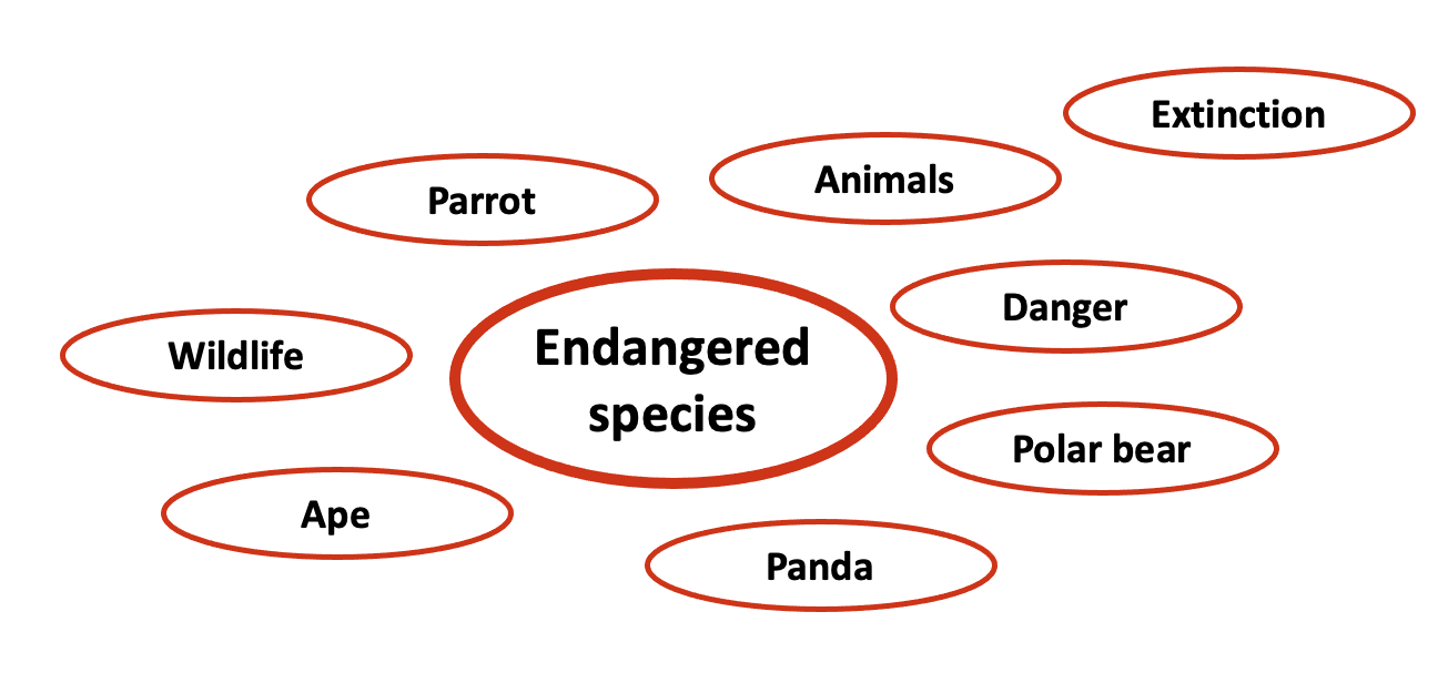 Academic Vocabulary and Schema Building