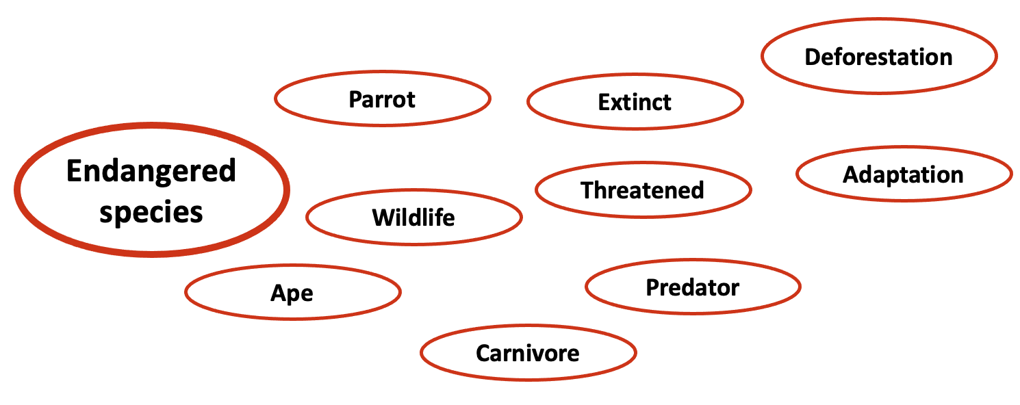 Academic Vocabulary and Schema Building